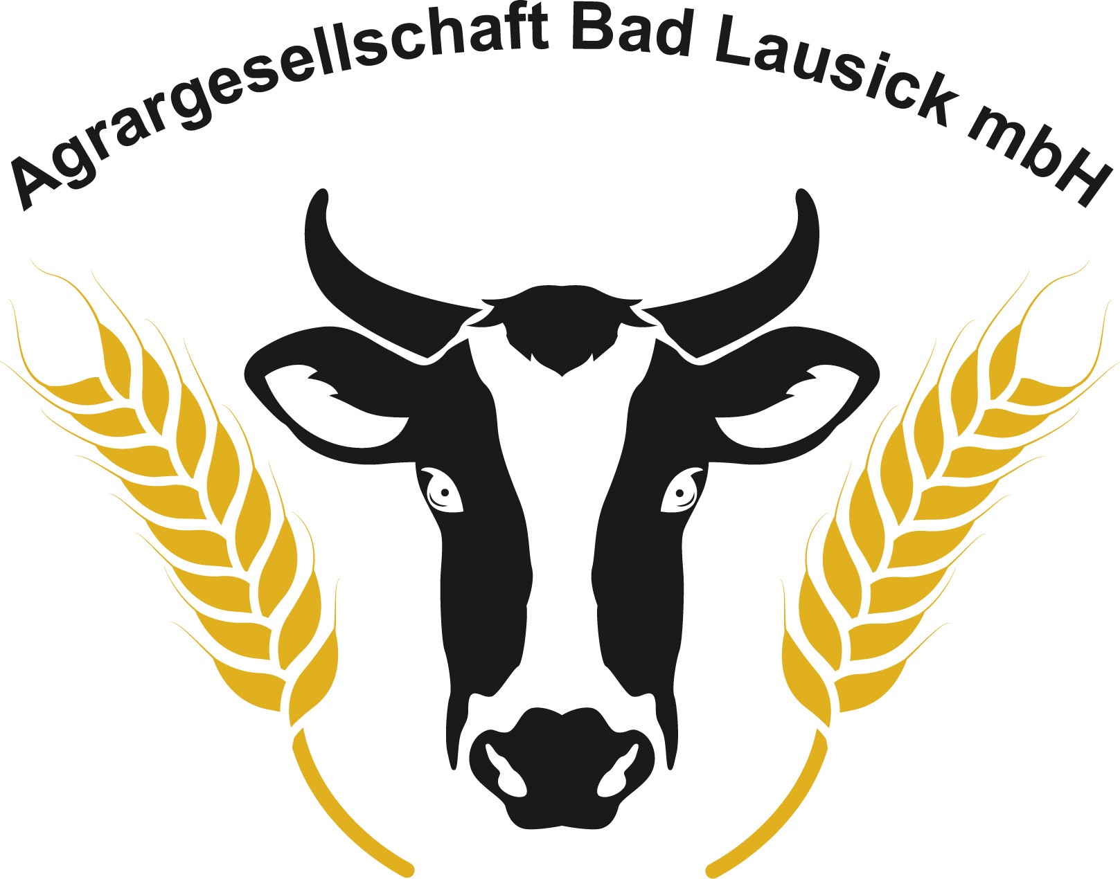 Wer steht dahinter – SeLawi